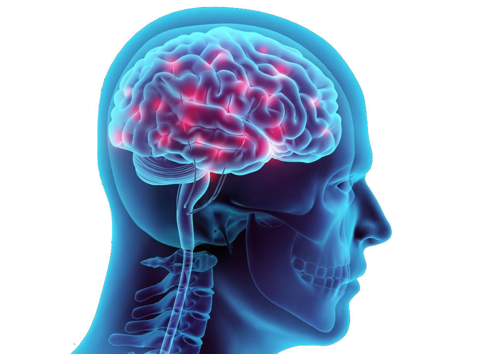 Teach Your Brain with Pain Reprocessing Therapy