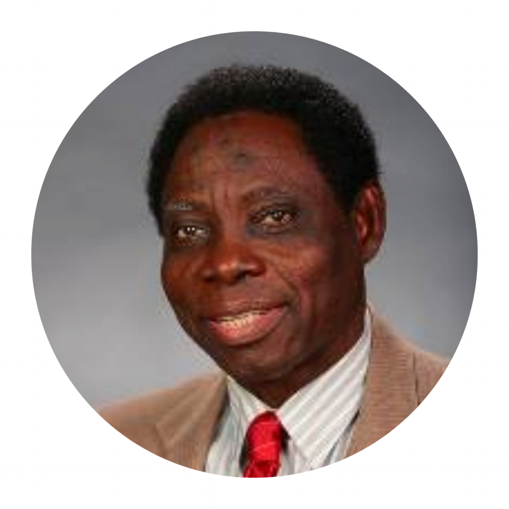 Aribilola Samuel Omolayo | American Geographica