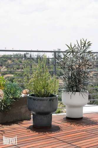 Modernica, Mushroom Plant Pots | Dwellmodern