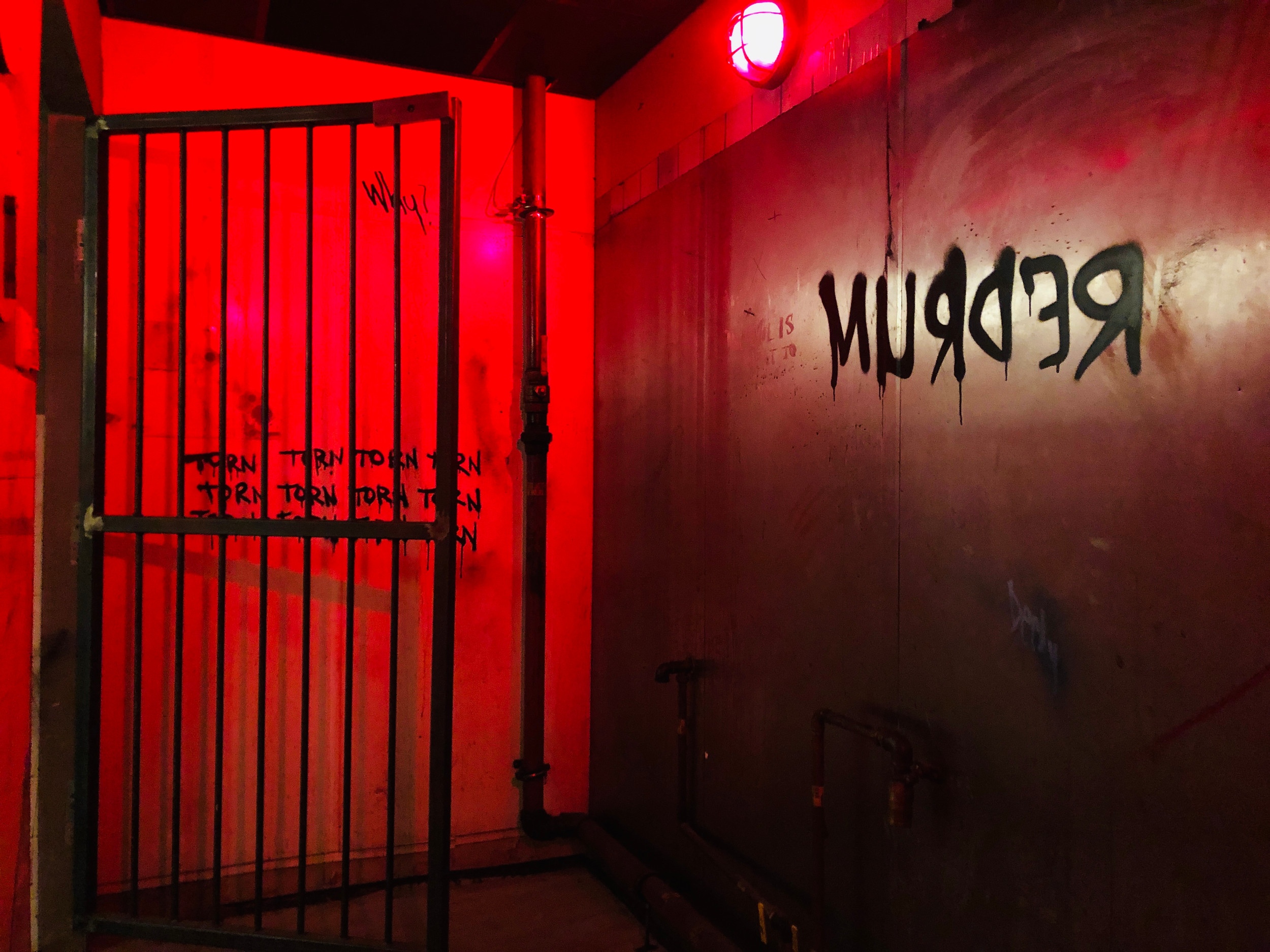 Escape Reality Edinburgh - "The Asylum"