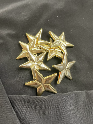 Gold Star Button 30mm | FAB FABRICS