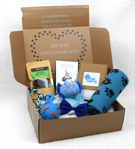 Buddys Puppy Dog Gift Box - Boy | Happy Buddys