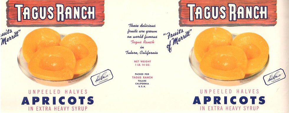 Vintage Tagus Ranch Apricots Can Label | Tulare Historical