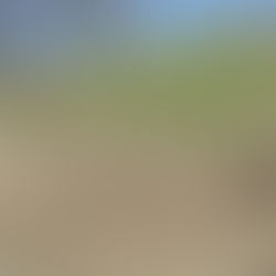 Blog | Copper Harbor Vitality | Adventures & Action in Michigan's U.P.