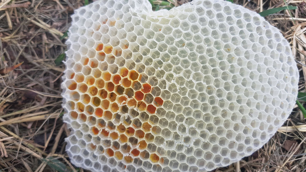 Honeycomb structure