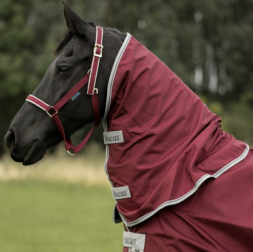 BUCAS ATLANTIC TURNOUT COMBI NECK ONLY | Kilean Equine