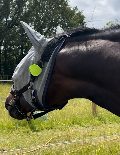 Citronella fly tag x 2 | Kilean Equine
