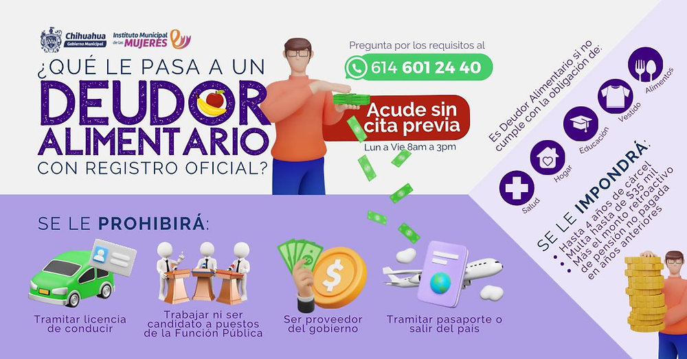 Conoce las implicaciones de ser un deudor alimentario