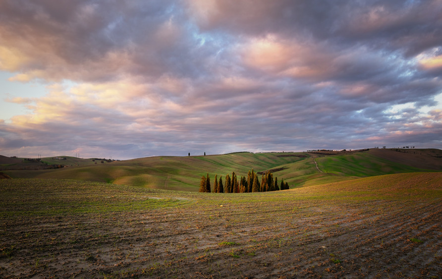 dreamland | marco franchini