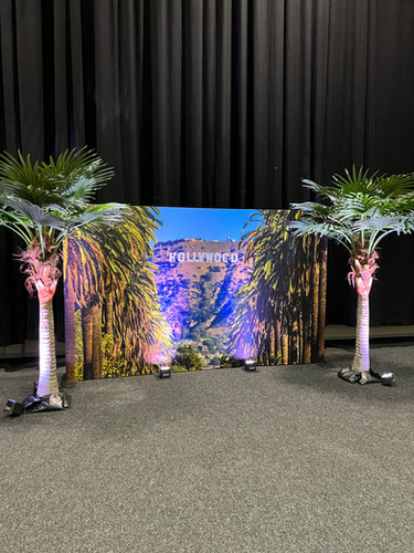 Palm Tree | LUXE Designs &Events