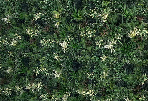 Eden Wall | LUXE Designs &Events