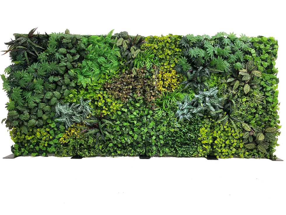 Greenery Walls | LUXE Designs &Events