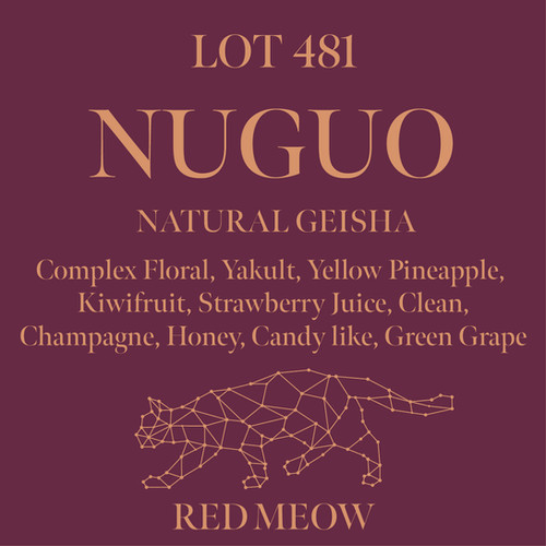 Nuguo 481 Natural Geisha | redmeowcoffee