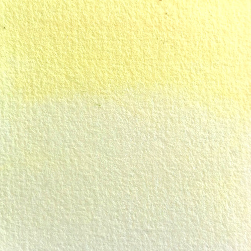 Limoncello | Le Pigmentarium