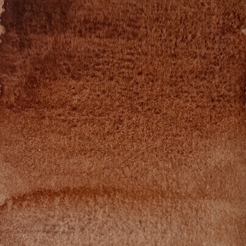 Sienna | Le Pigmentarium