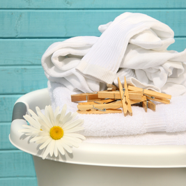 Fresh Laundry Company Laundry Delivery | Kingston