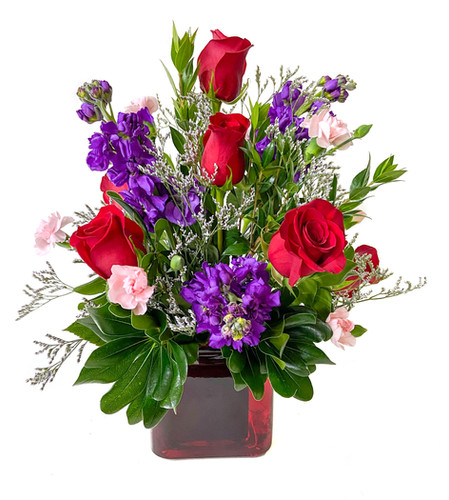 Sweet Splendor 1103-484 | Andy's Garden