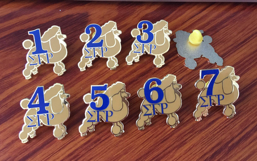Sigma Gamma Rho Line Number Pins | ilovegreekstuff