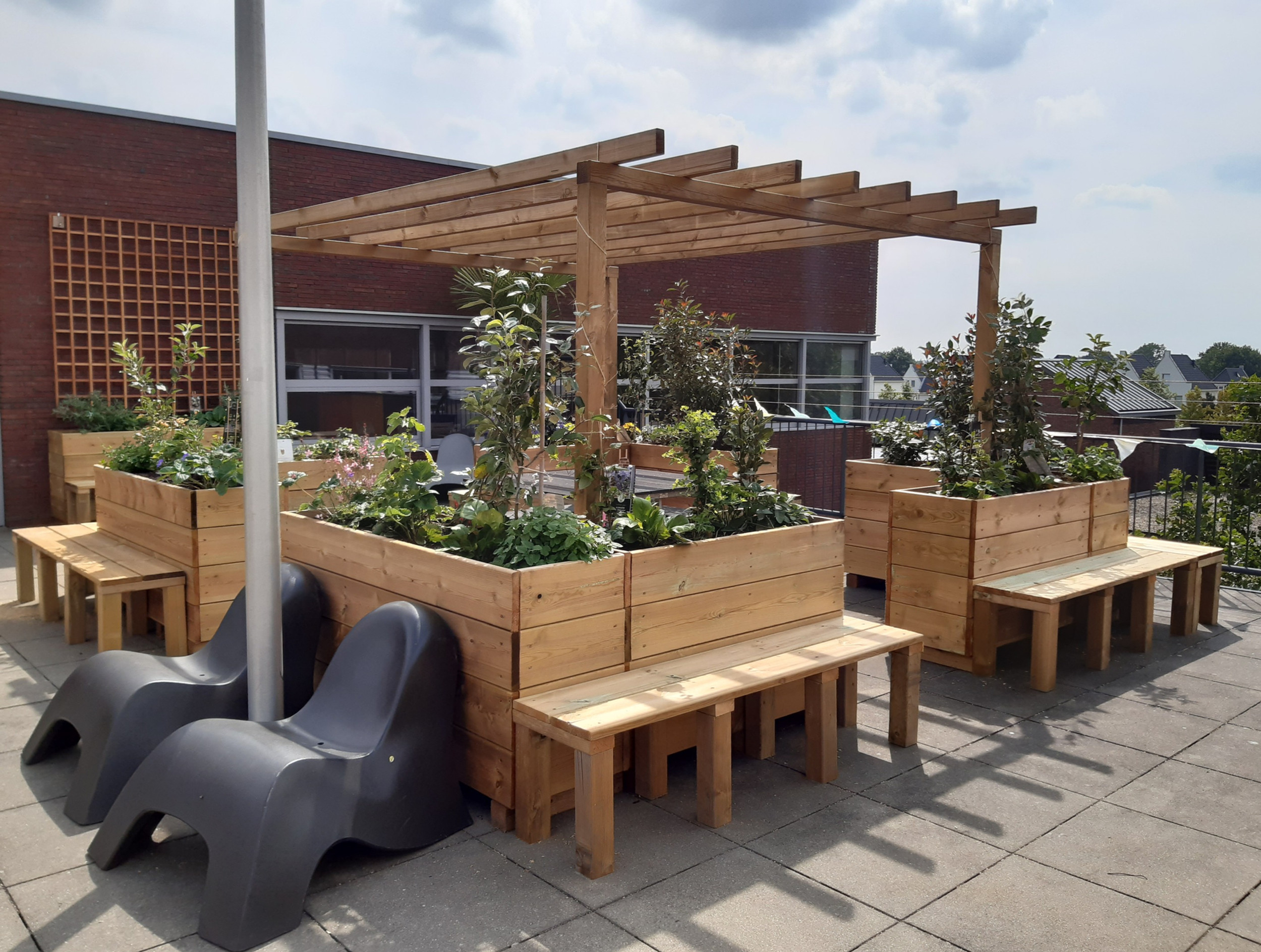 Towards Nature | School Rooftop design and implementation with using ...