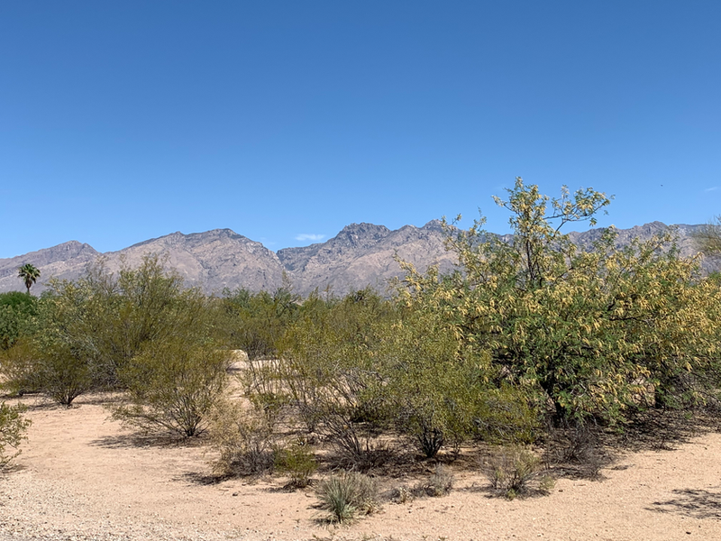 Join Us | Vista Del Rio Resident's Association