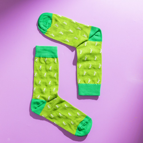 Our "Giddy Gecko" socks | Persona