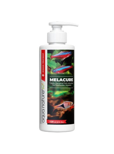 Aquarium Fish | Aquatic Plants, Co2 Equipments, Filters, Fish Food, Medicines