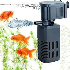 Aquarium Fish | Aquatic Plants, Co2 Equipments, Filters, Fish Food ...