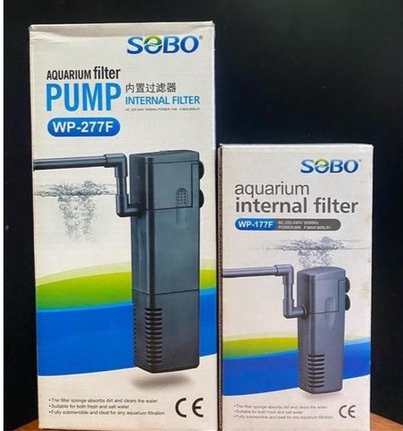 Aquarium Fish | Aquatic Plants, Co2 Equipments, Filters, Fish Food ...