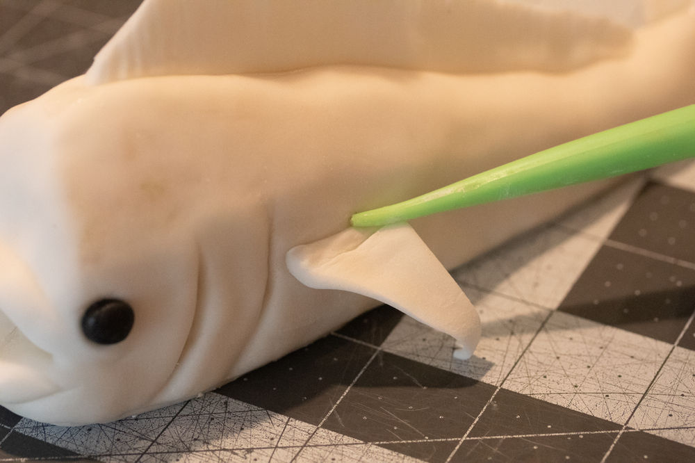 Fondant Mahi Fish Tutorial