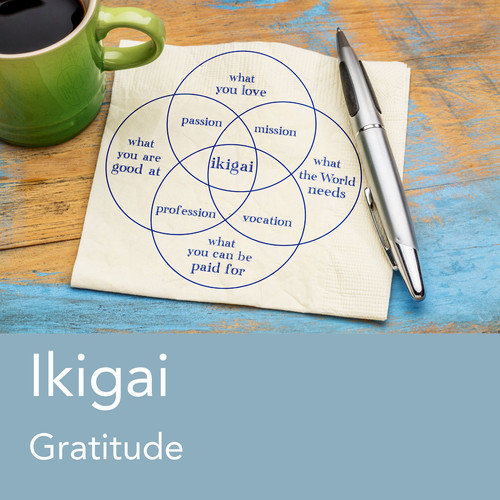 Ikigai with Andrew Johnson, Relax Change Create Meditation App