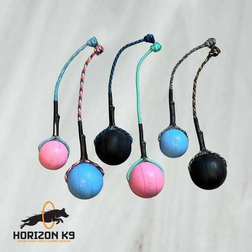 Customisable Kong Reward Dog Ball | Horizon K9