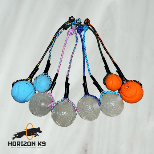 Customisable Reward Ball | Horizon K9