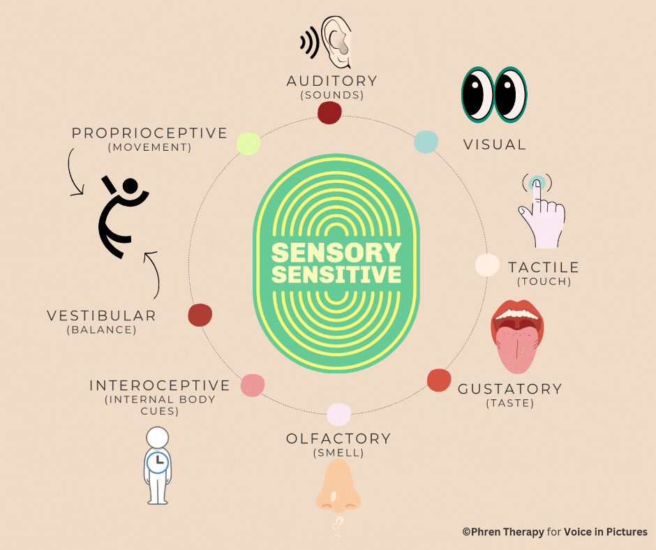 The World Through Different Senses: How Sensory Sensitivities Influence ...