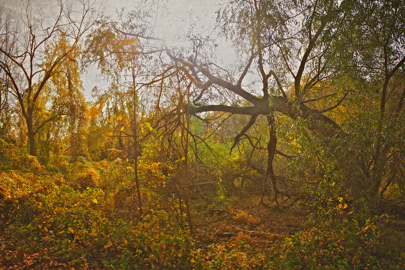 The History Behind Sleepy Hollow: A Spooky Spotlight on the Real-Life ...