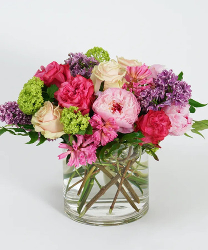 LILAC DEMURE | Huy's Garden Flowers