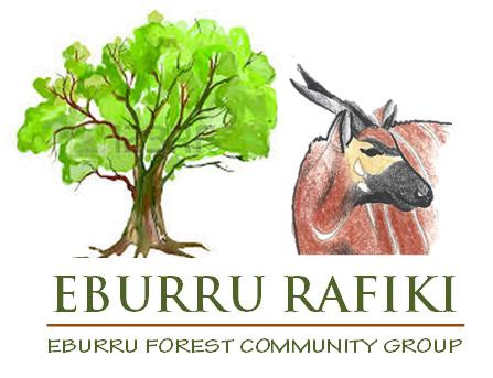 Ecotourism Forest Walks | Eburru Rafiki | Nakuru County