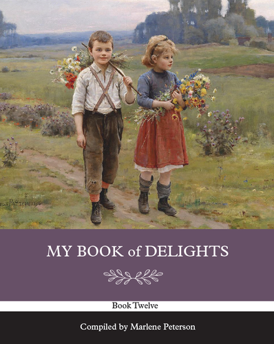 My Book of Delights: Book Twelve (BD12) | Libraries of Hope