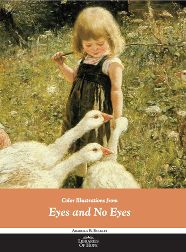 Color Illustrations from Eyes and No Eyes | Libraries of Hope