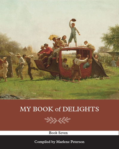 My Book of Delights: Book Seven (BD7) | Libraries of Hope