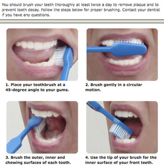 The correct way to brush your teeth