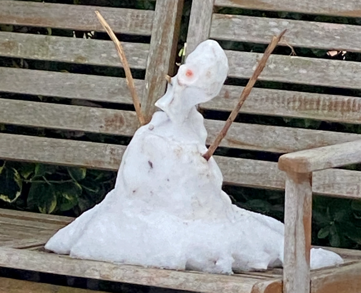 Out Of The Blue | Cultural Center of Cape Cod Online