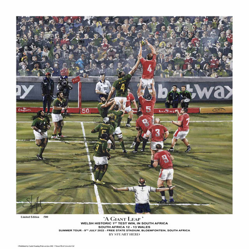 South Africa v Wales - A Giant Leap | Rugby Artworks