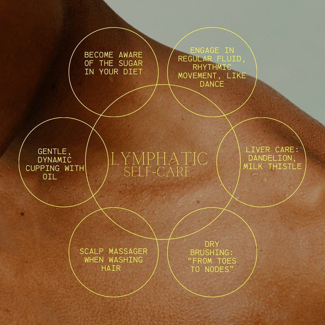 Lymphatic Self-Care Workshop | Watershed Wellness