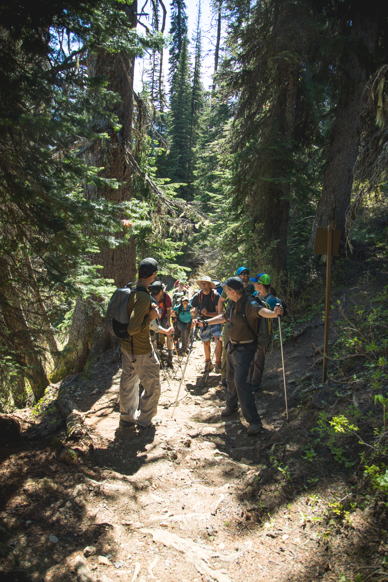 Burgess Shale Geoscience Foundation | Guided Fossil Hikes | Yoho Park