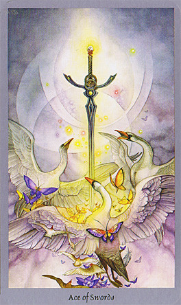 🃏Shadowscapes Tarot & Book⭐ | The Devine Craft