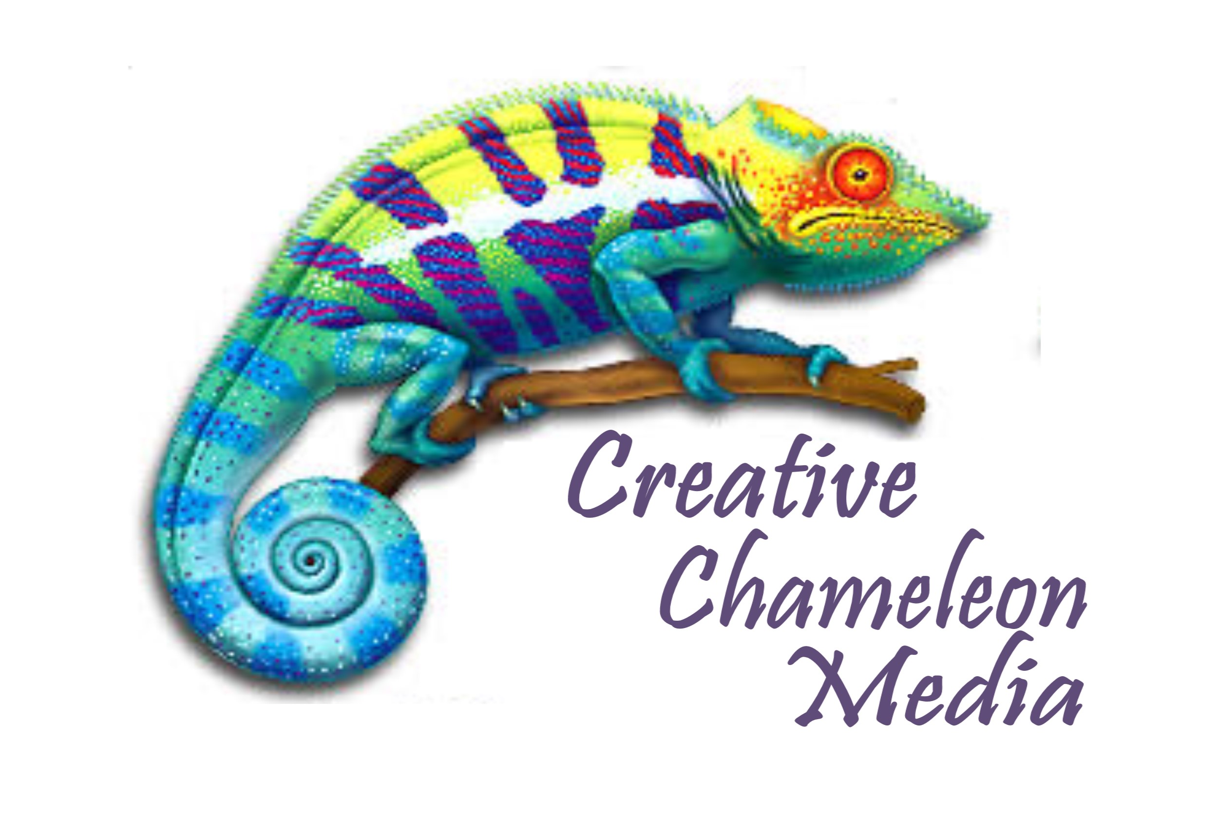 Photography | Creative Chameleon Media | United States