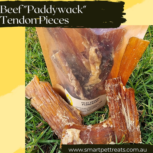 Beef "Paddywack" Tendon | New Smart Pet Treats
