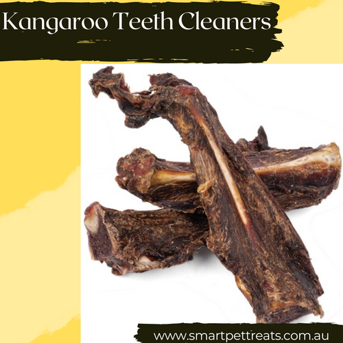 Kangaroo Teeth Cleansers | New Smart Pet Treats