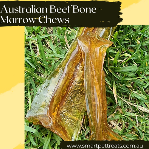 Marrow Chew | New Smart Pet Treats
