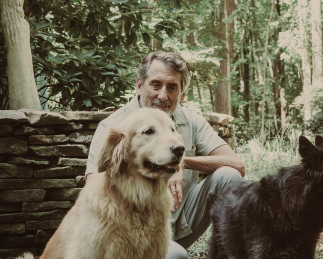 Dave Gold | Life Coach for Lawyers